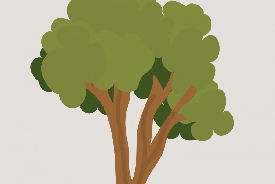 Outils pour les proches aidants - Outils proche aidant - L'Antr'Aidant